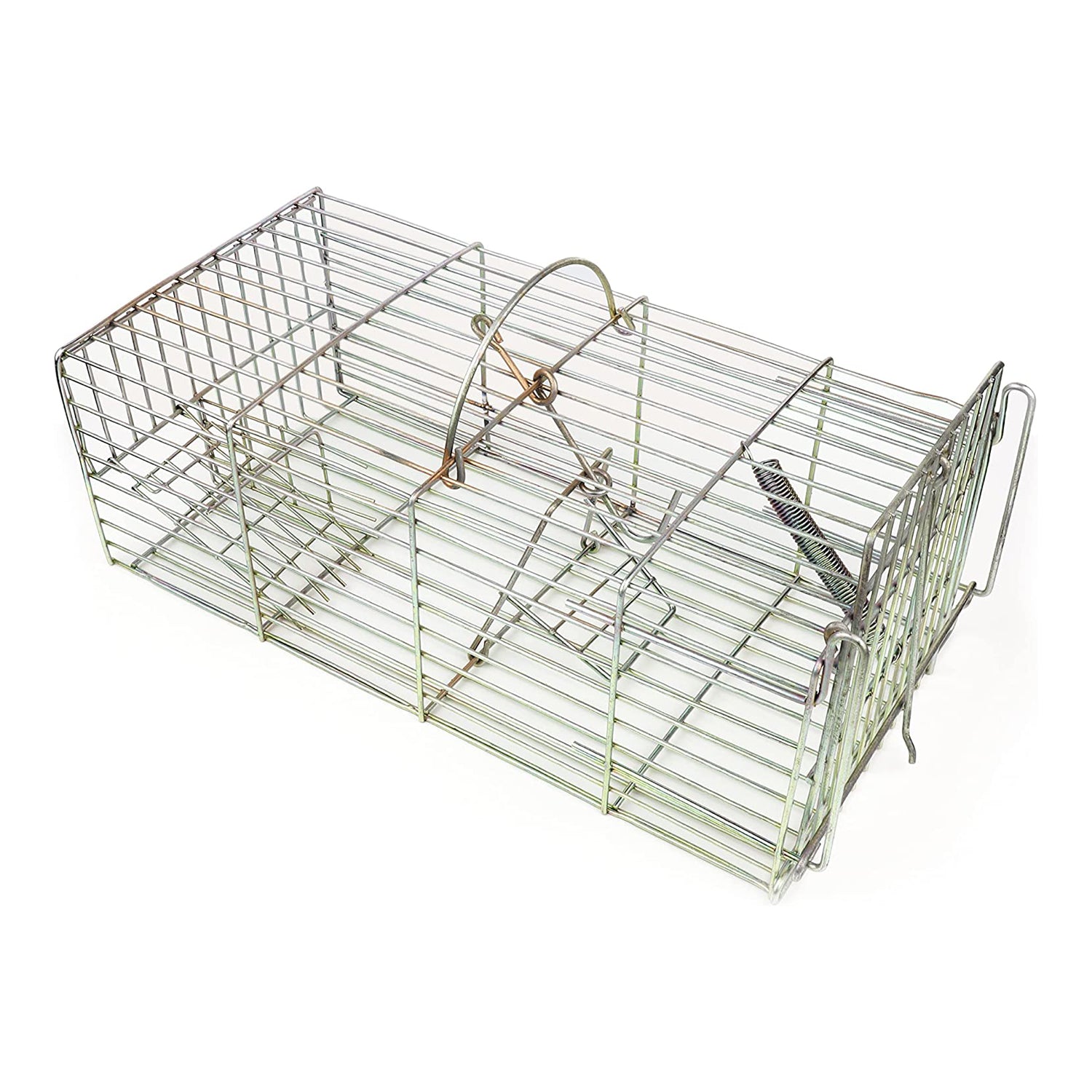 RatKil Rat Cage & Squirrel Trap - Large, Heavy Duty Rodent, Rat Trap f